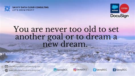 savvy data cloud consulting on linkedin datacleansing data datascience