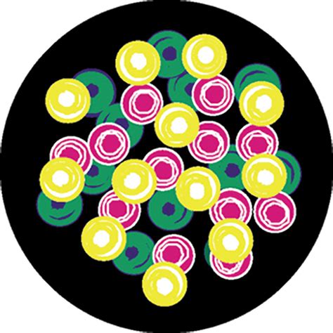 Rosco Bubbles Glass Full Color Gobo 86608