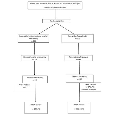 Flow Chart Showing Enrolment Randomization And Testing Results Download Scientific Diagram