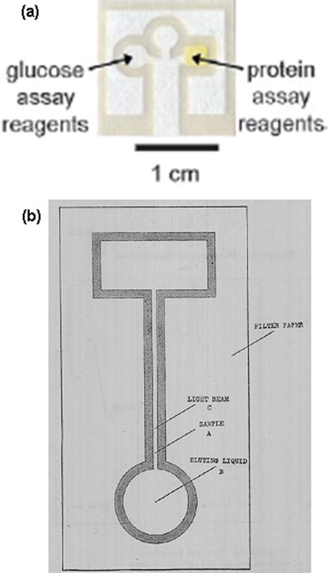 A Perspective On Paper Based Microfluidics Current Status And Future