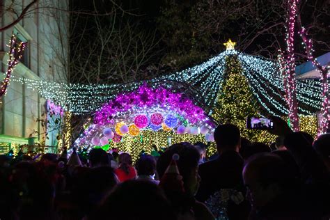 하늘에는 영광 땅에는 기쁨과 평화 2022 성탄 점등식