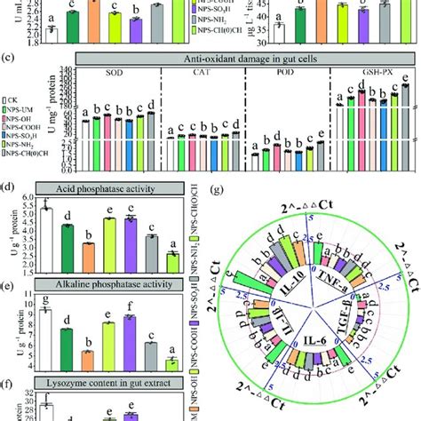 PDF Dysregulation Of Gut Health In Zebrafish By Differentially Charged Nanoplastics Exposure