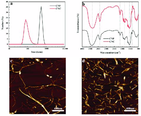 A Particle Size Distribution Of Cnf And Cnc B Infrared Spectra Of Download Scientific