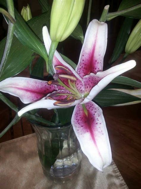 Pin By Dawn Washam🌹 On In Loving Memory Mom Lily Flowers In Loving Memory