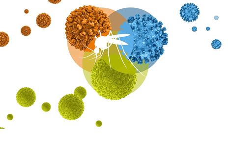 28 Facts About Lyceum