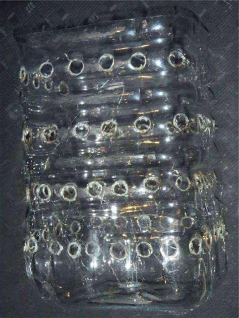 Как вырастить лук в пластиковой бутылке на подоконнике Лук легко выращивать и делать хорошие