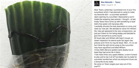 Man Finds A Dead Worm In His Cucumber Wrapper Store Shows What Customer Support Is All About