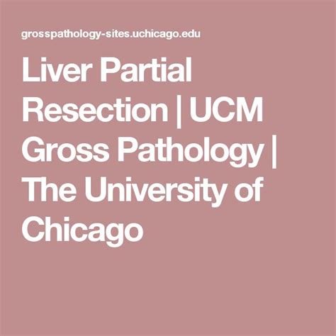Liver Partial Resection Ucm Gross Pathology Manual