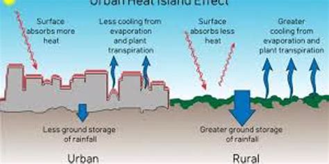 Creating Stable Microclimates Tractor Ranch Company Phoenix Az 602