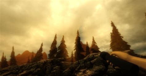 Forest Map Unity Connect