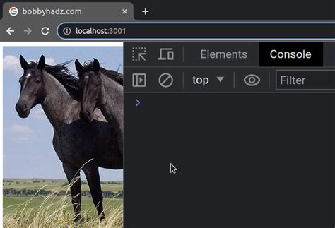 set an onclick listener on an image in react bobbyhadz