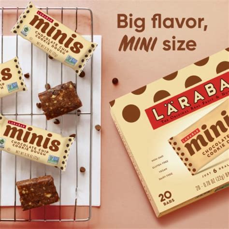 Larabar Chocolate Chip Cookie Dough Mini Bar Gluten Free Vegan Bar 20