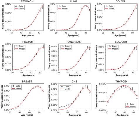 Best Fit Model Predictions For Us Background Incidence Of Each Cancer