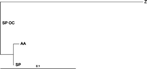 upgma dendrogram based on fst distance values calculated from frequency