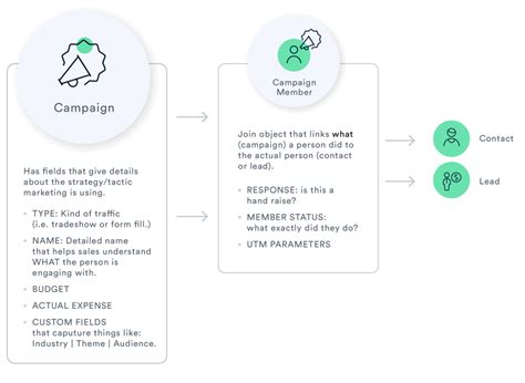 A Salesforce Administrators Guide To Campaign Setup Calibermind