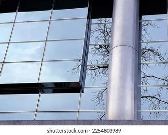 Urban Tree Reflection Glass Window Building Stock Photo Shutterstock