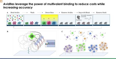 Ils Your Partners In Life