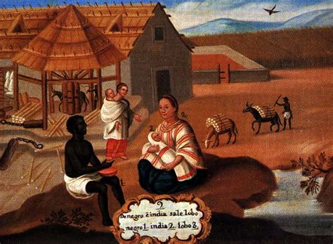 Mestizaje Concepto Origen Consecuencias Tipos