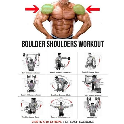 Best Exercises To Make Shoulders Wider At Derek Spencer Blog