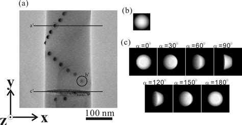Electron Beam Tomography Accuracy The Best Picture Of Beam