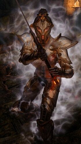 Colovian Vanguard Armor And Greatswords Se Bhunp Armor And Clothing