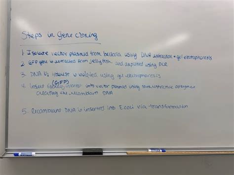 Ch Lecture Flashcards Quizlet