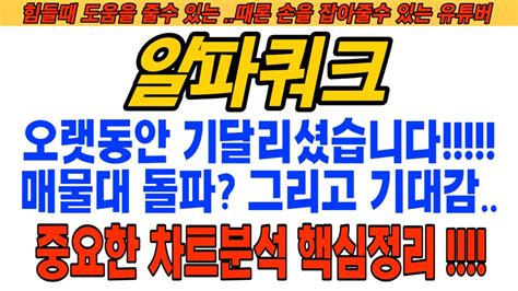 알파쿼크 알파쿼크코인 코인전망 비트코인 이더리움 도지코인 Youtube