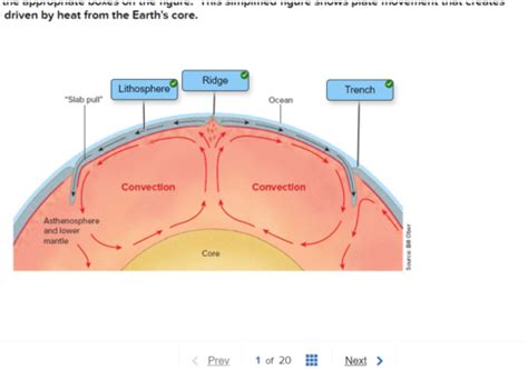 Midterm Marine Biology Flashcards Quizlet