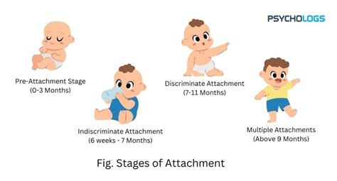Attachment Theory Understanding Bonds And Their Impact On Development
