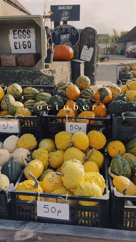 Gravité Particle Cologne Honest Review My New Daily Fragrance For