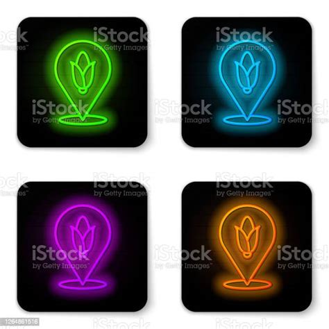 흰색 배경에 고립 된 빛나는 네온 라인 위치 옥수수 아이콘 검은 색 사각형 버튼 벡터 건강한 생활방식에 대한 스톡 벡터 아트 및 기타 이미지 건강한 생활방식 건강한