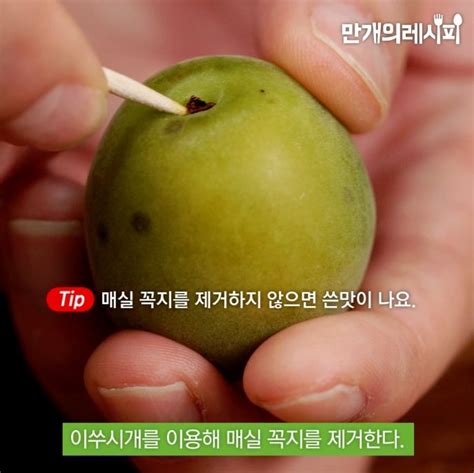 매실주 매실장아찌 만들때 손질해야죠 매실손질법