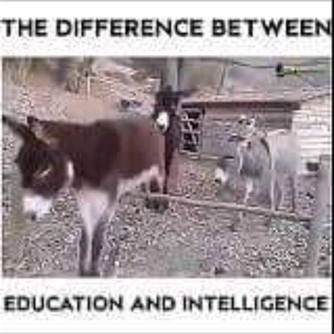 Chamindu Lakshan On Linkedin උගත් හා බුද්ධිමත් අතර වෙනස උගත් සහ