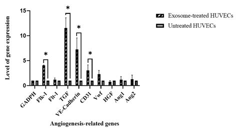 The Expression Of Angiogenesis Related Genes Levels Of Download