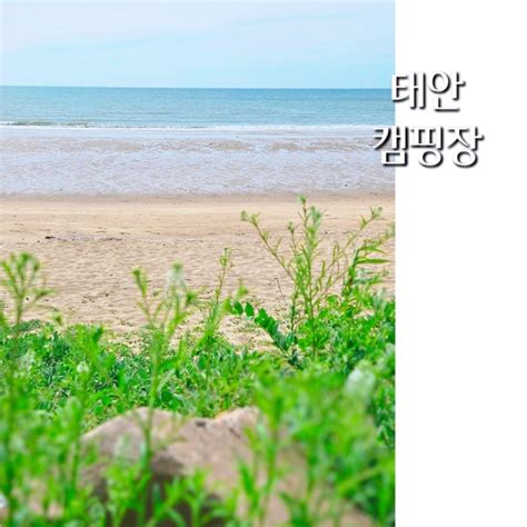 태안 캠핑장 노지감성 풍부한 프라이빗 해변 오션뷰 바다와파도소리 네이버 블로그