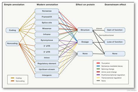 人基因组重测序系列 3遗传变异信息分析流程解析重测序数据分析流程 Csdn博客 人基因组重测序系列 3遗传变异信息分析流程解析重测序数据分析流程 Csdn博客
