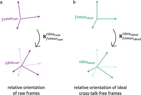 Schematic Of Local Segment Frames Relative To One Another A Measured