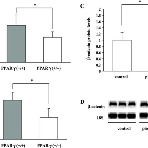 Immunofluorescence Microscopy Of Pparγ And β Catenin In The Colonic