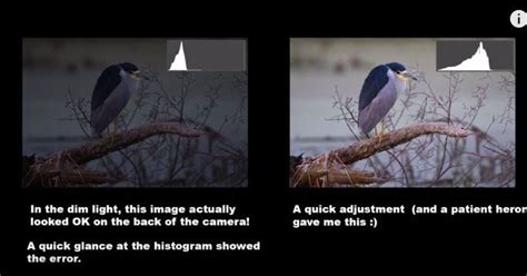 Understanding Histograms In Photography