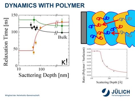 Dynamics Of Polymeric Additives In Bicontinuous Microemulsions Adjacent To Planar Hydrophilic