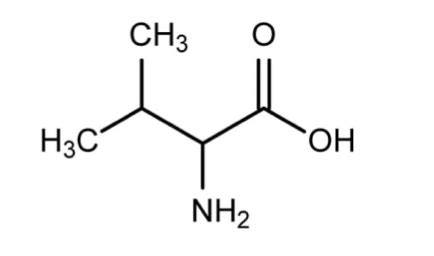 BIOC Practice Pool Questions Flashcards Quizlet