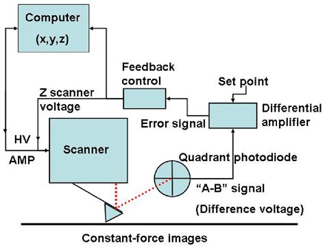 Figure 1 1 From The Role Of Few Asperity Contacts In Adhesion Semantic Scholar