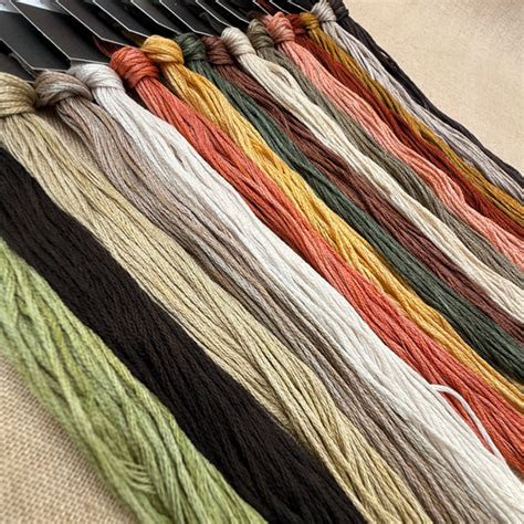 Teresa Kogut Evertote