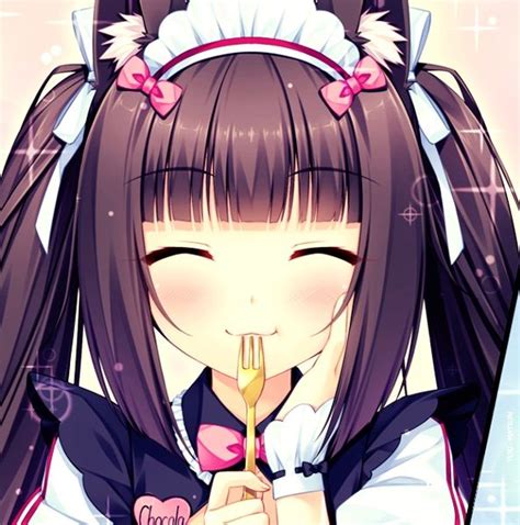 Nekopara 3 Anime Amino
