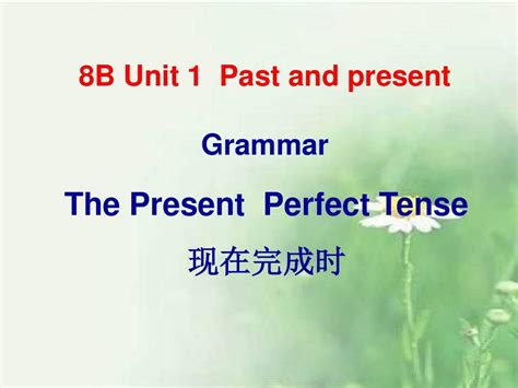 牛津译林版8b Unit 1 Past And Present Grammar 共43张ppt Word文档在线阅读与下载 无忧文档