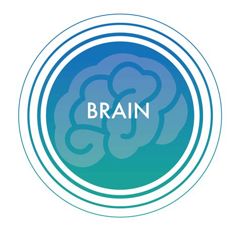 Learning Philosophy In Action Activate Learning