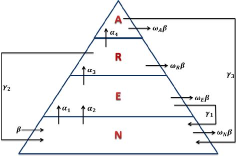 Figure 2 From A Graph Cellular Automaton With Relation Based