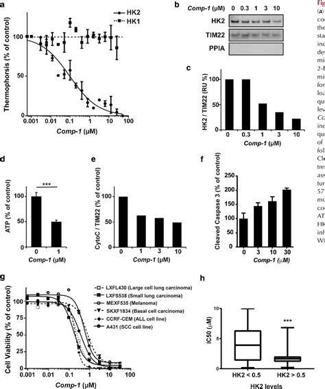 Figure 4 From A Hexokinase 2 Modulator For Field Directed Treatment Of Experimental Actinic