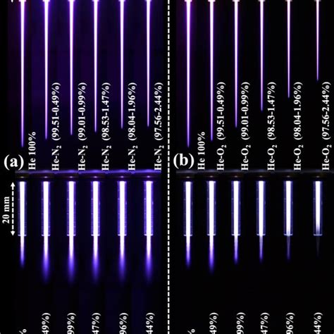 Shows The Block Diagram Of The Experimental Setup The Plasma Reactor