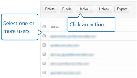 Winshuttle Connect Blocking And Unblocking Users